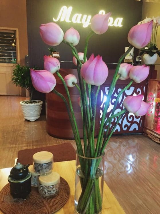 May Spa - Quận 1, Tp HCM • HAKU Scent Marketing